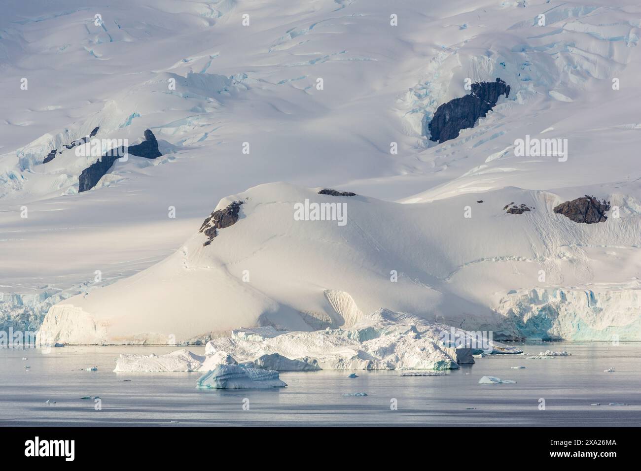 Gerlache Strait Palmer Archipelago, Antarctic Peninsula, Antarctica ...