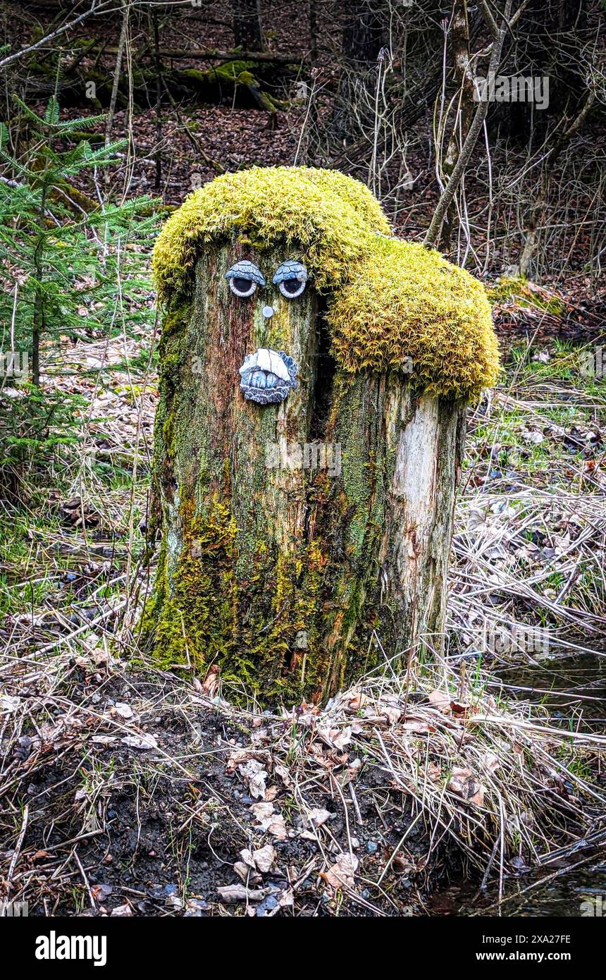 Unique tree stump hi-res stock photography and images - Alamy