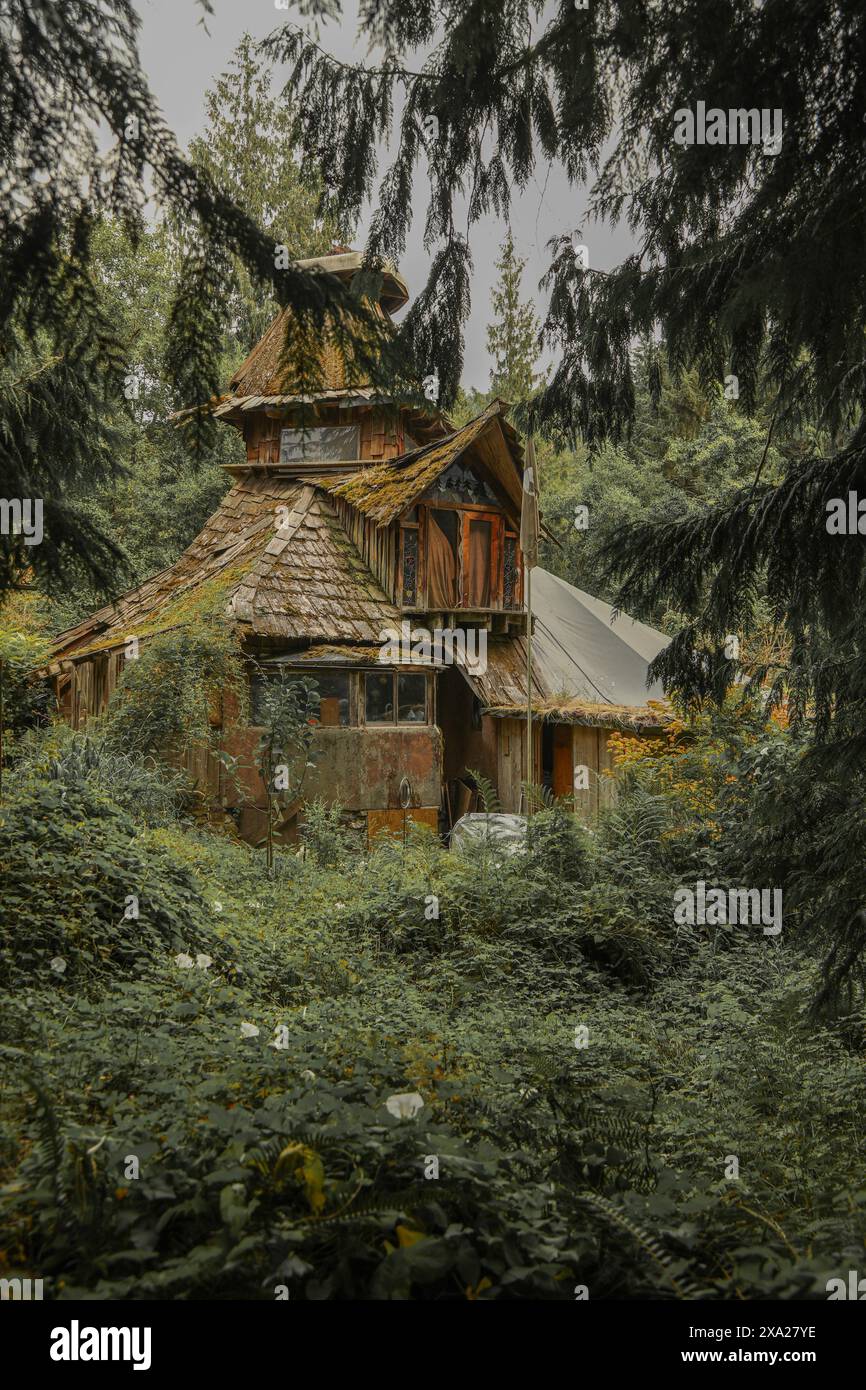 Nestled among pine trees hi-res stock photography and images - Alamy