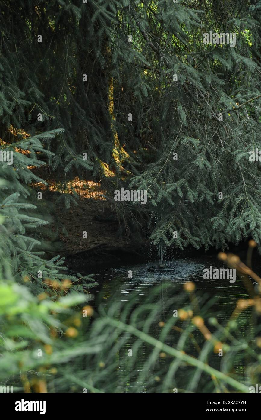 A bear strolls by the river, dipping its paws in the water Stock Photo ...