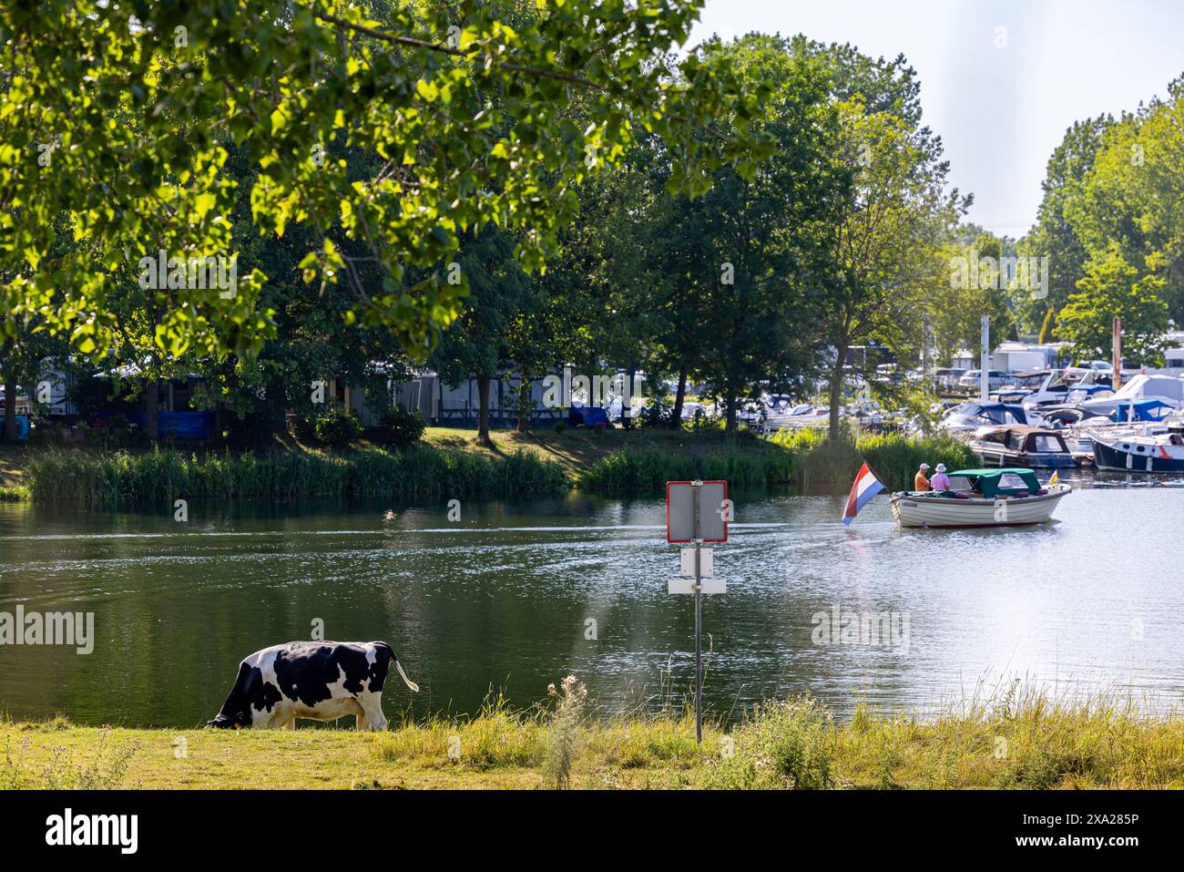 Cow boat hi-res stock photography and images - Alamy