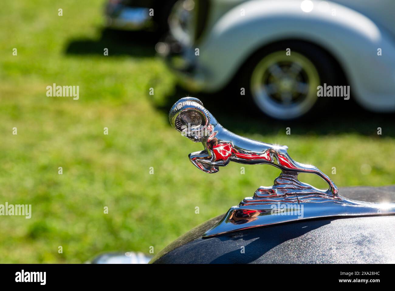 Ram emblem hi-res stock photography and images - Alamy