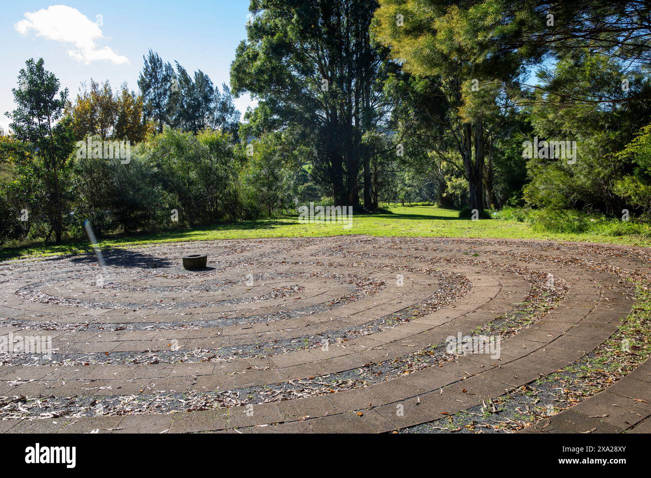 Dangar falls Labyrinth in Dorrigo regional New South Wales,Australia ...