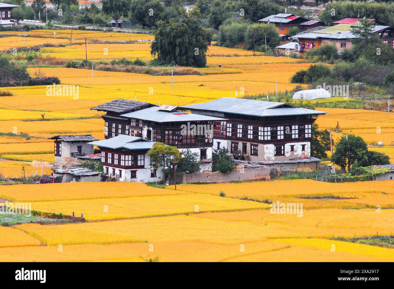 Farming life in Bhutan, the traditional way of farming and living Stock ...