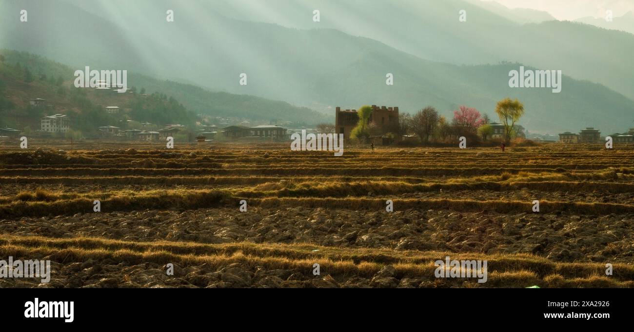Farming life in Bhutan, the traditional way of farming and living Stock ...