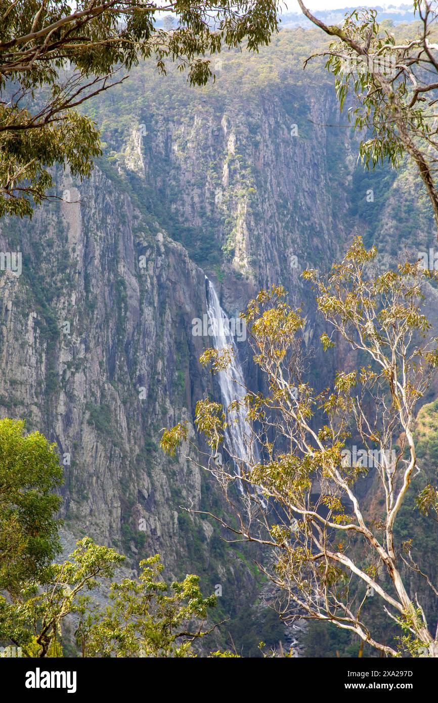 Wollemombi waterfall falls in Oxley Rivers national park, Australia's ...