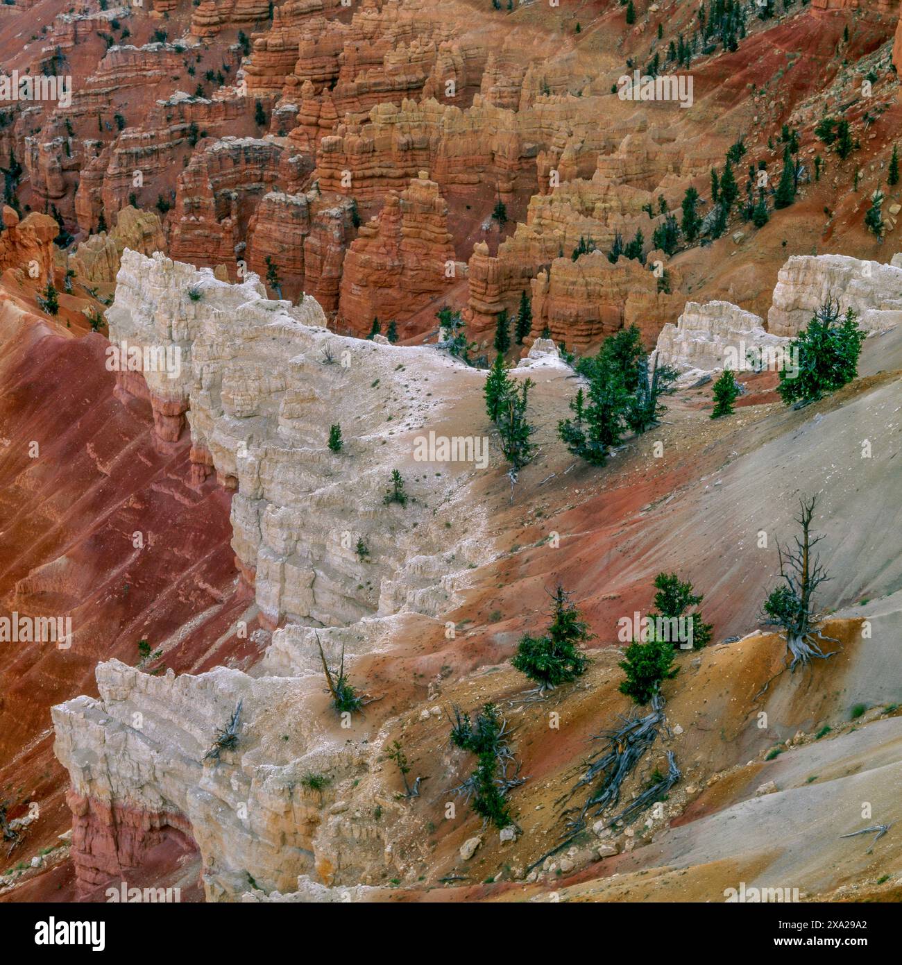 Formations, Cedar Breaks, Cedar Breaks National Monument, Utah Stock ...