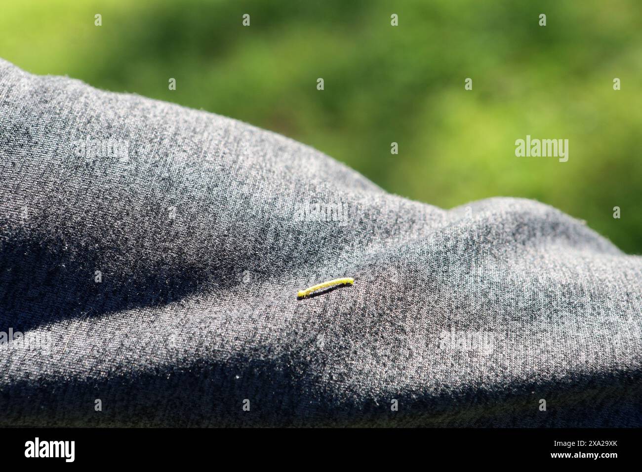 Outdoor crawl hi-res stock photography and images - Alamy