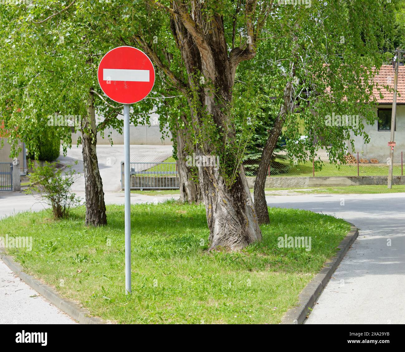 Stop sign with trees hi-res stock photography and images - Alamy