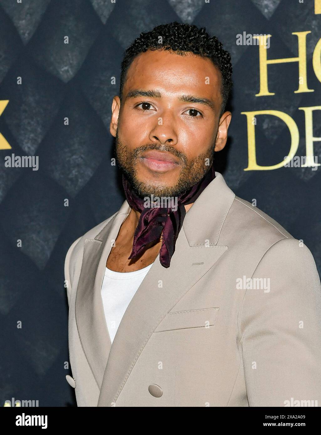 Victor Hugo attends the premiere of "HBO's "House of the Dragon" Season ...