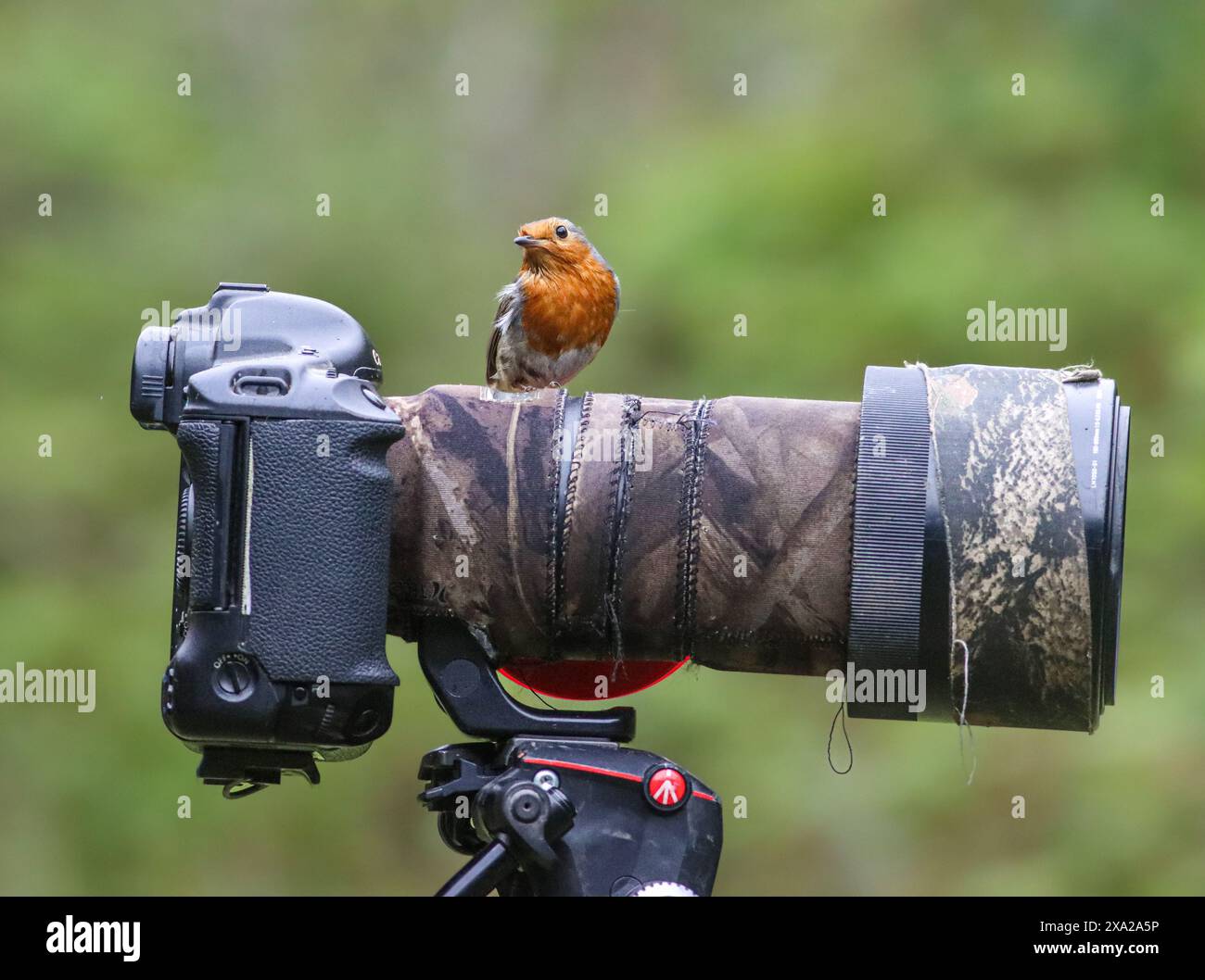 Camera capture moment photography hi-res stock photography and images ...