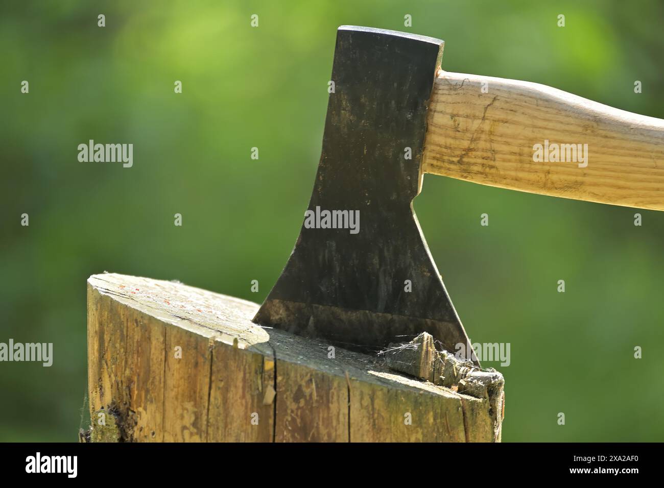 Hatchet embedded in a log of wood against blurred background with ...