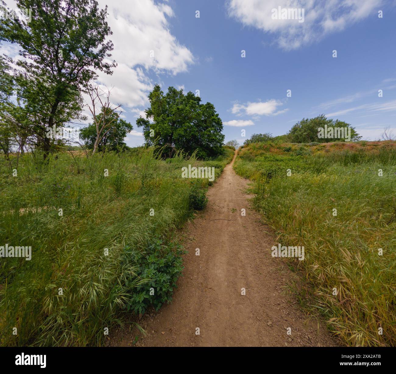 Road winding through trees hi-res stock photography and images - Alamy