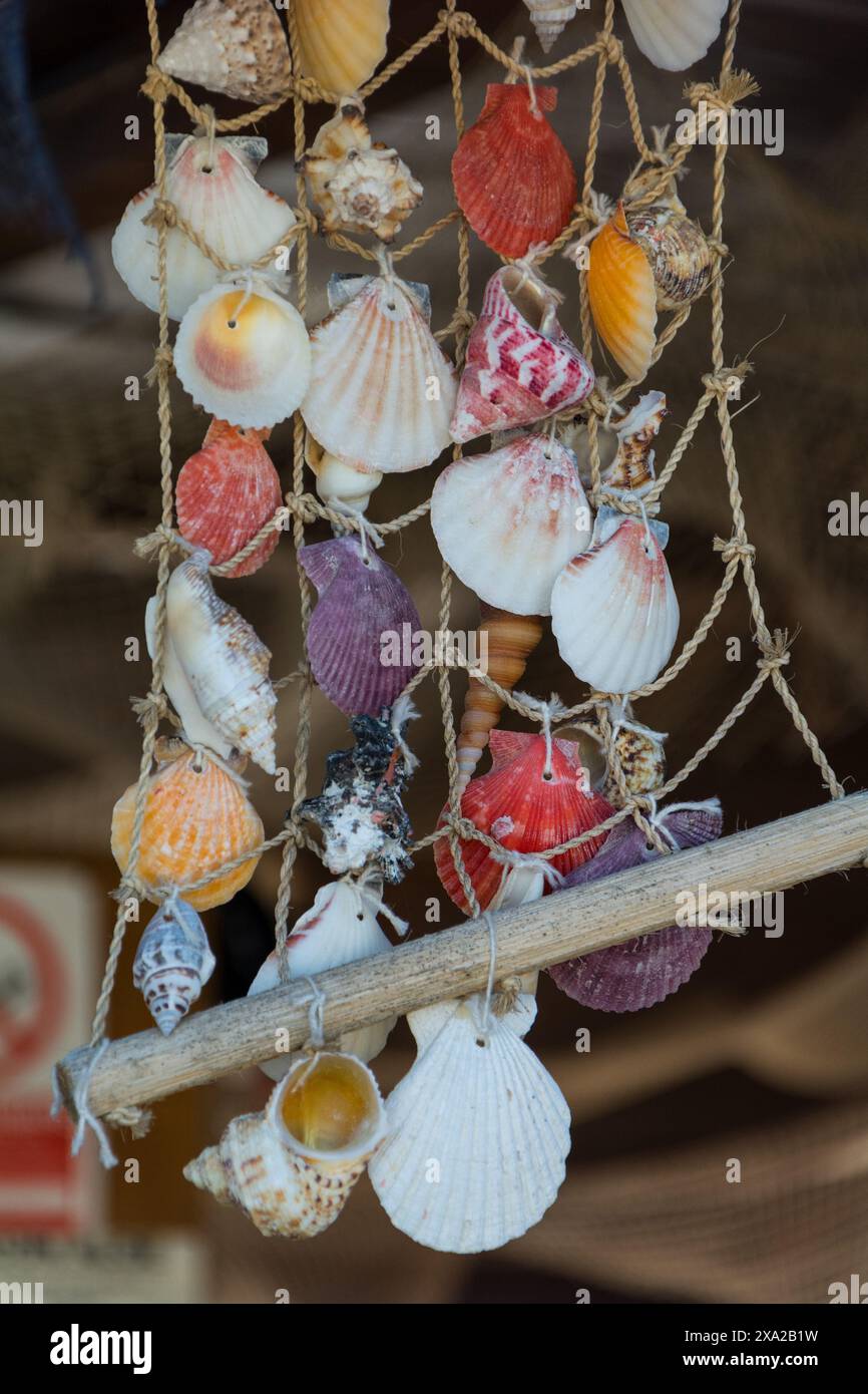 A vertical of seashells displayed on a wooden pole Stock Photo - Alamy