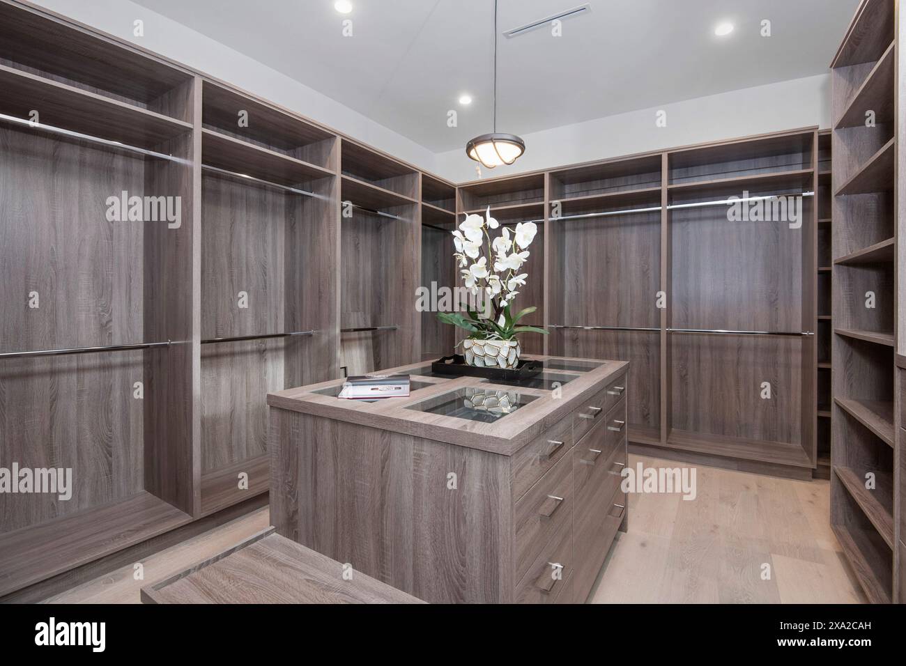 A spacious walk-in closet with ample storage in a modern new ...