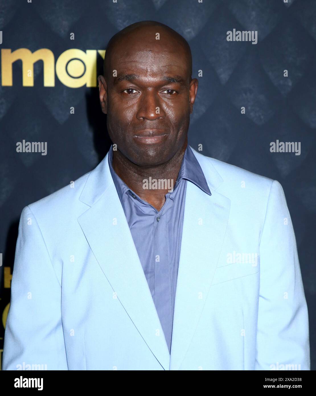 New York City, USA. 03rd June, 2024. Steve Toussaint attending HBO Max ...