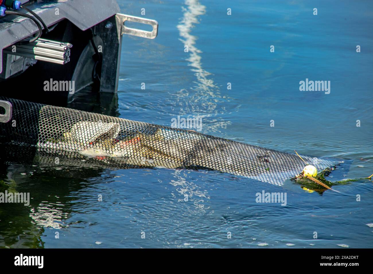 A robot floating trash collector sails in Huntington Beach, CA ...