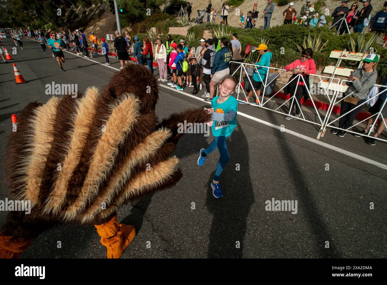 An entertainer in a turkey costume encourages foot race contestants at ...