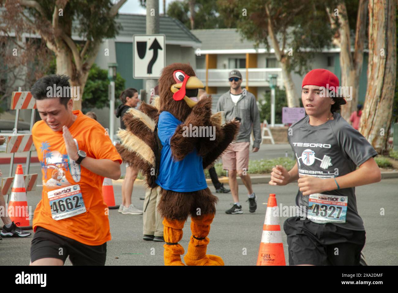 An entertainer in a turkey costume encourages foot race contestants at ...
