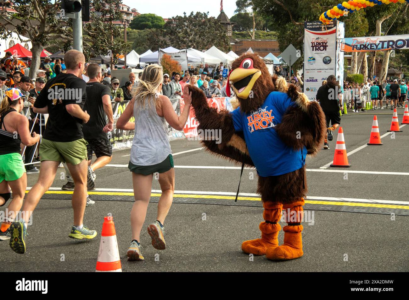 An entertainer in a turkey costume encourages foot race contestants at ...
