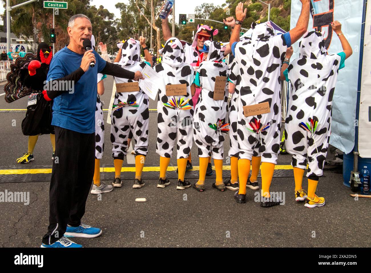 Turkey trot hi-res stock photography and images - Alamy