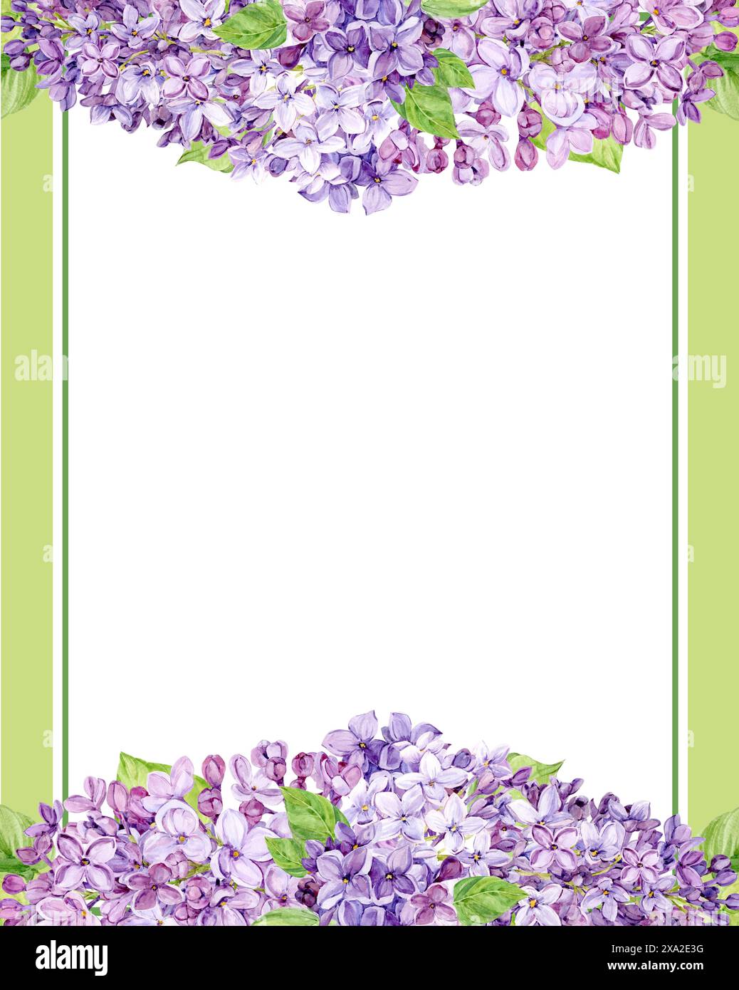 Beautiful lilac lilac with leaves and buds. Hand drawn watercolor ...
