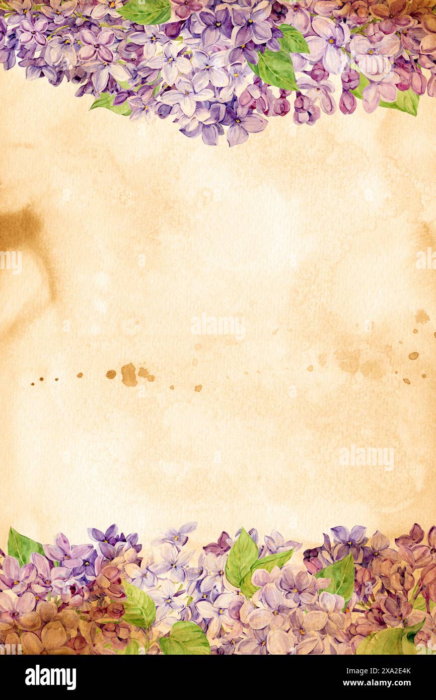 Lilacs on yellowed old vintage paper. Watercolor illustration. Leaf ...