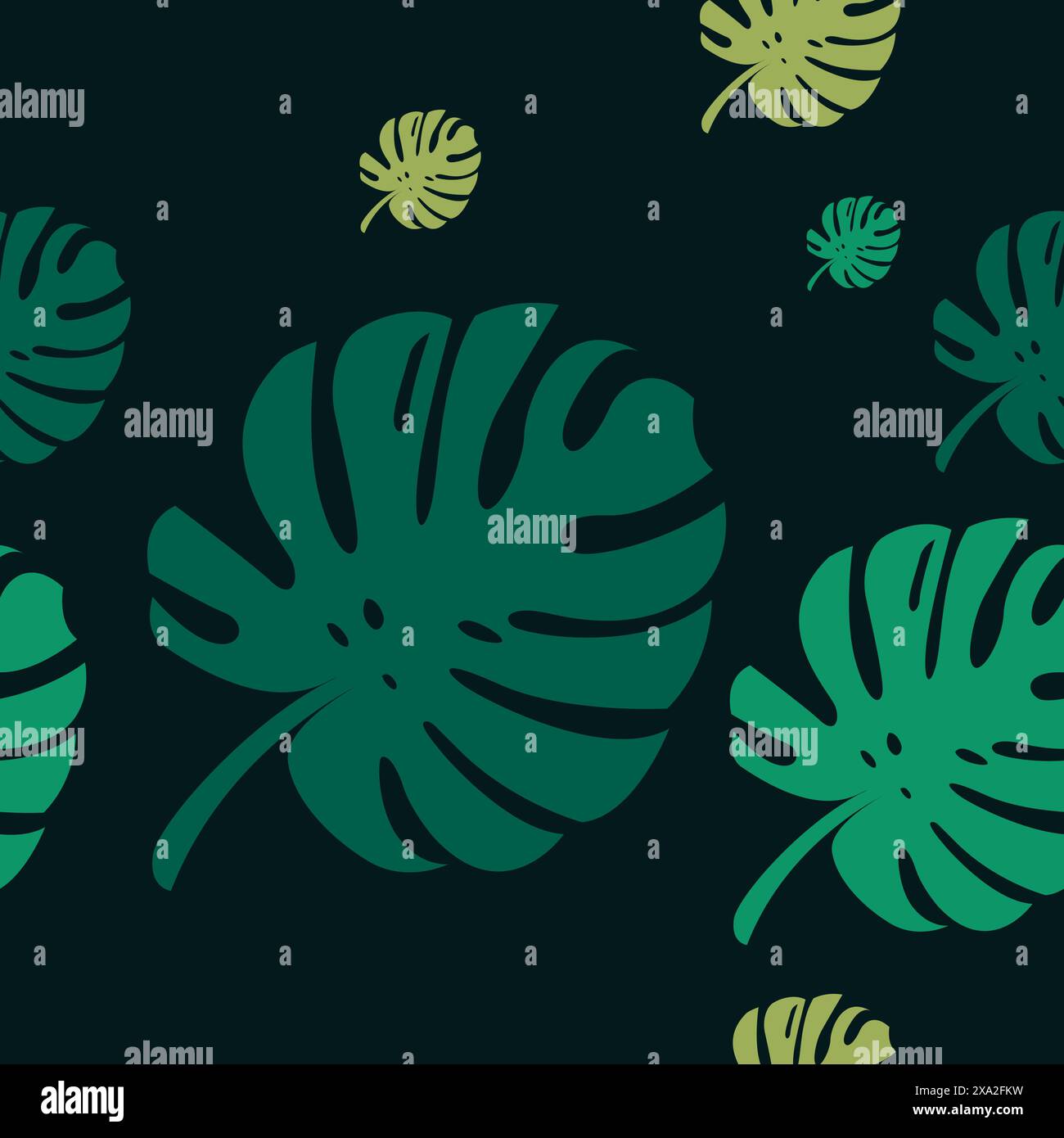 Monstera leaf wallpaper hi-res stock photography and images - Alamy