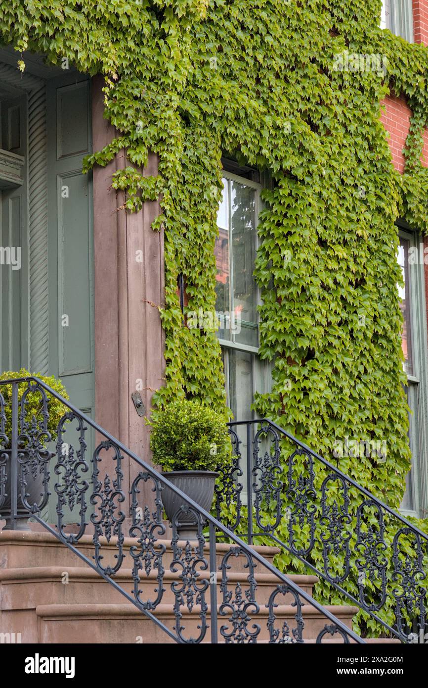 jersey city brownstone building detail (historic pre-war red brick ...