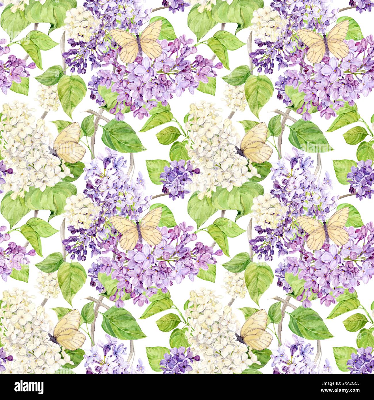 Watercolor background with lilacs and butterflies. Seamless background ...