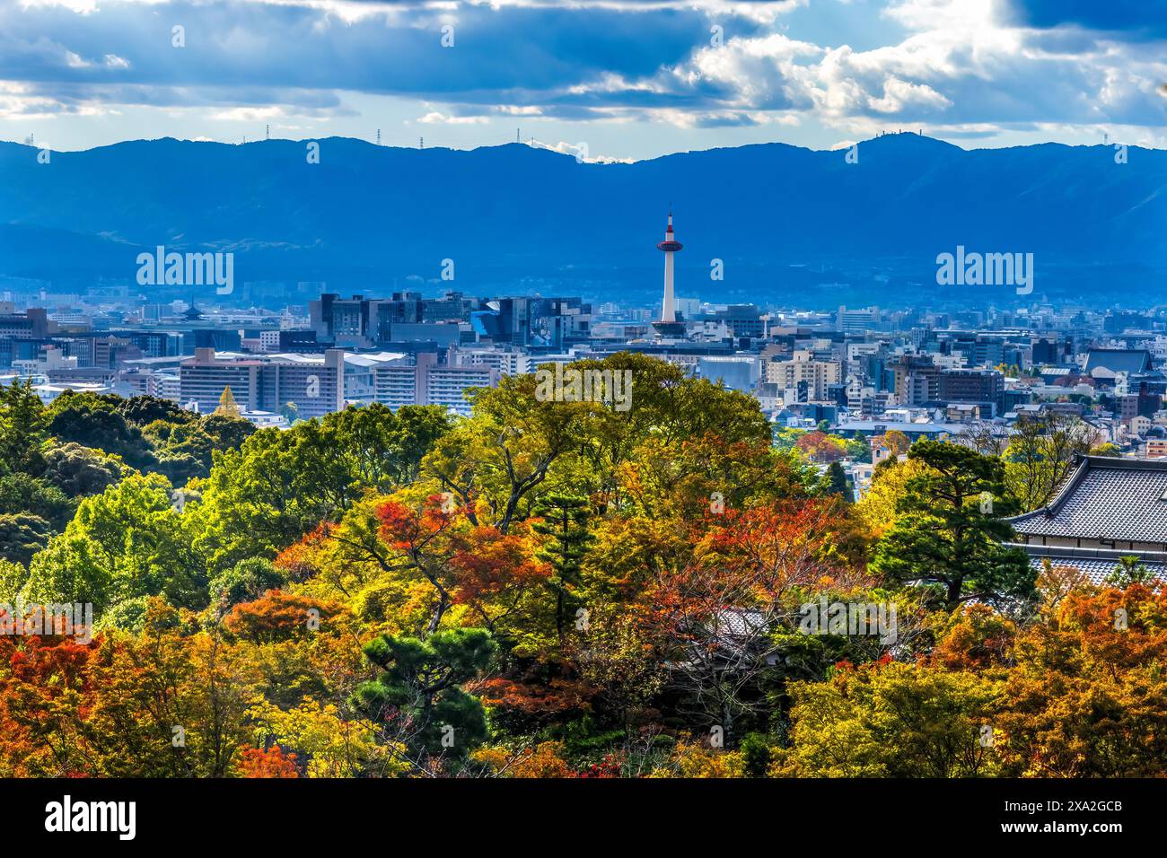 Colorful Autumn Leaves Kyoto Tower View From Kiyomizu Buddhist Temple ...