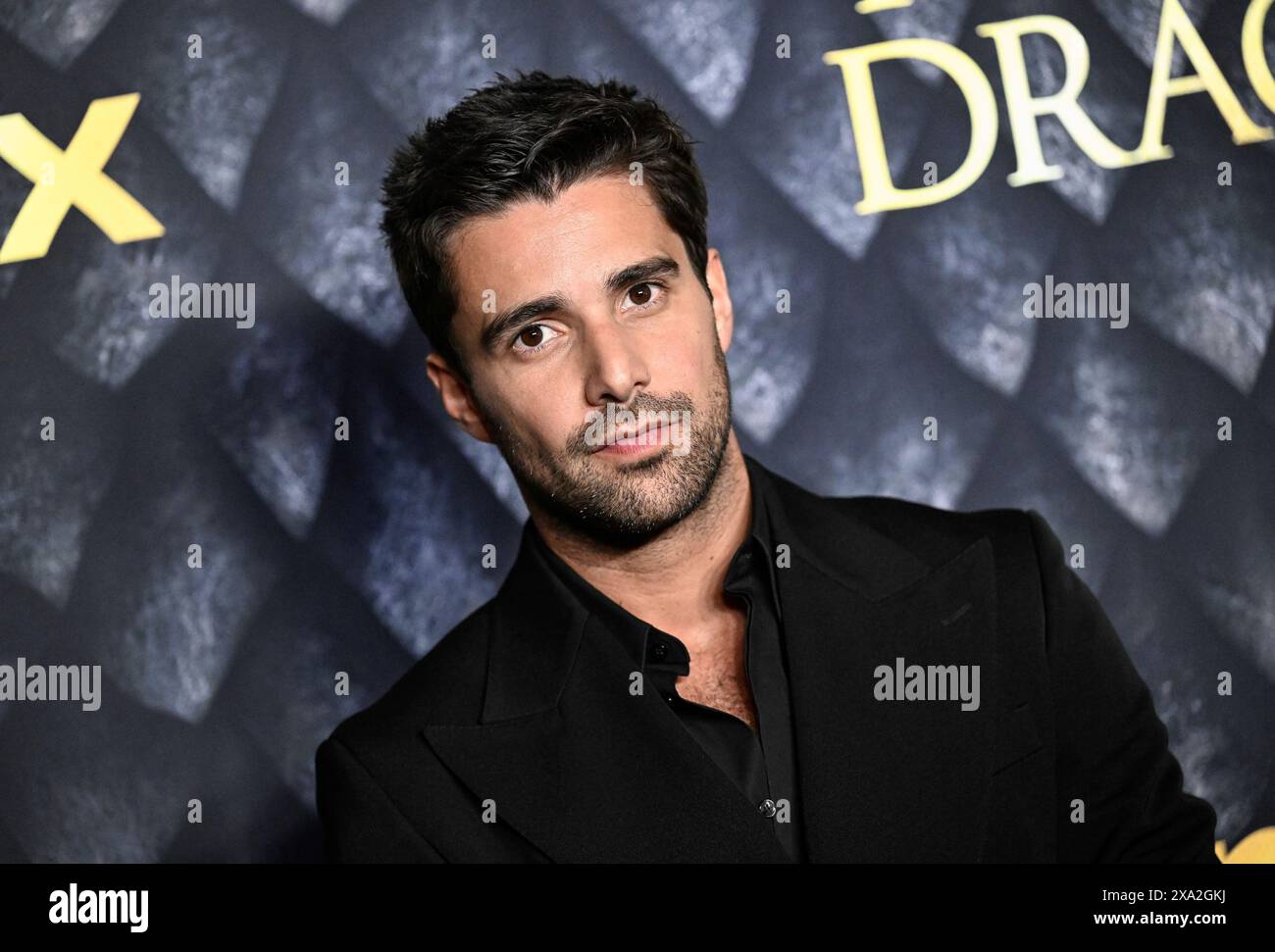 Fabien Frankel attends the premiere of HBO's "House of the Dragon ...