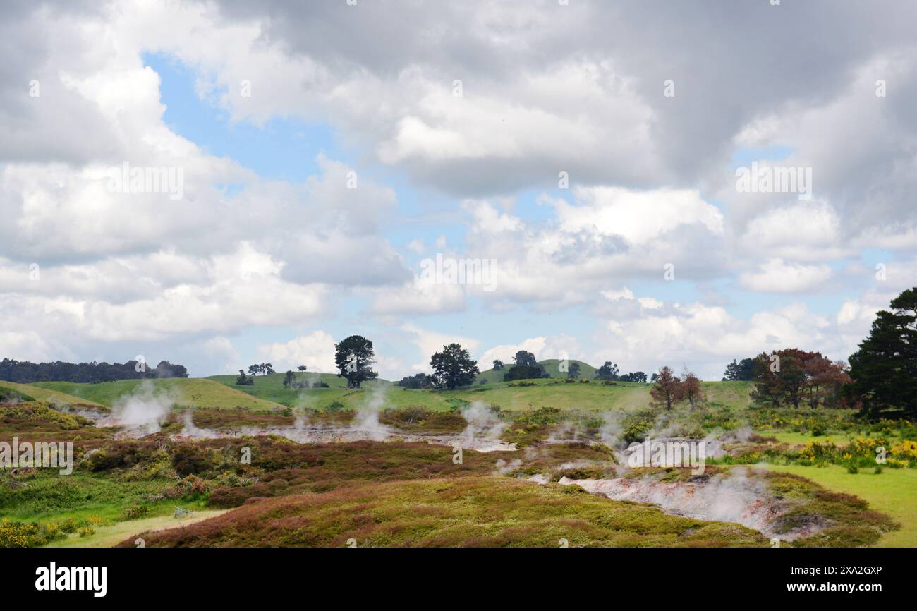 Geothermal landscapes in Rotorua, New Zealand Stock Photo - Alamy