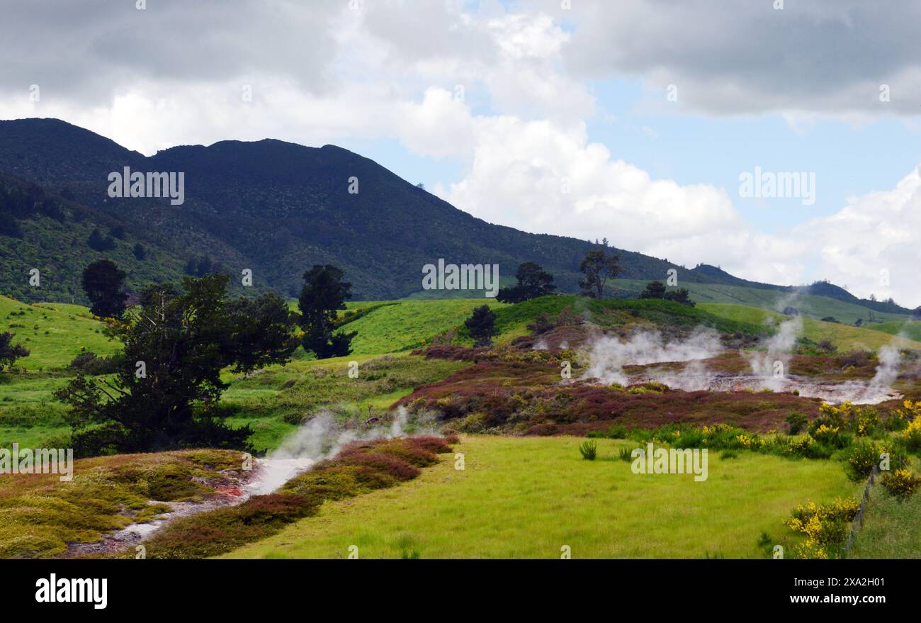 Geothermal landscapes in Rotorua, New Zealand Stock Photo - Alamy