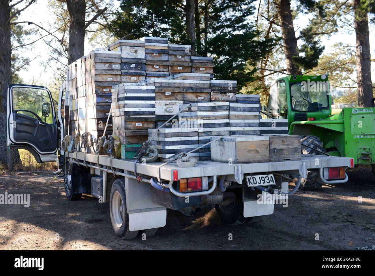 Manuka honey bee hives loaded on a pickup truck in the Wariarapa region ...