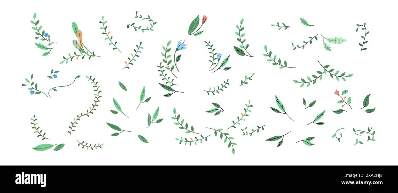 Plants branches with leaves and flowers 2D cartoon vector objects set ...