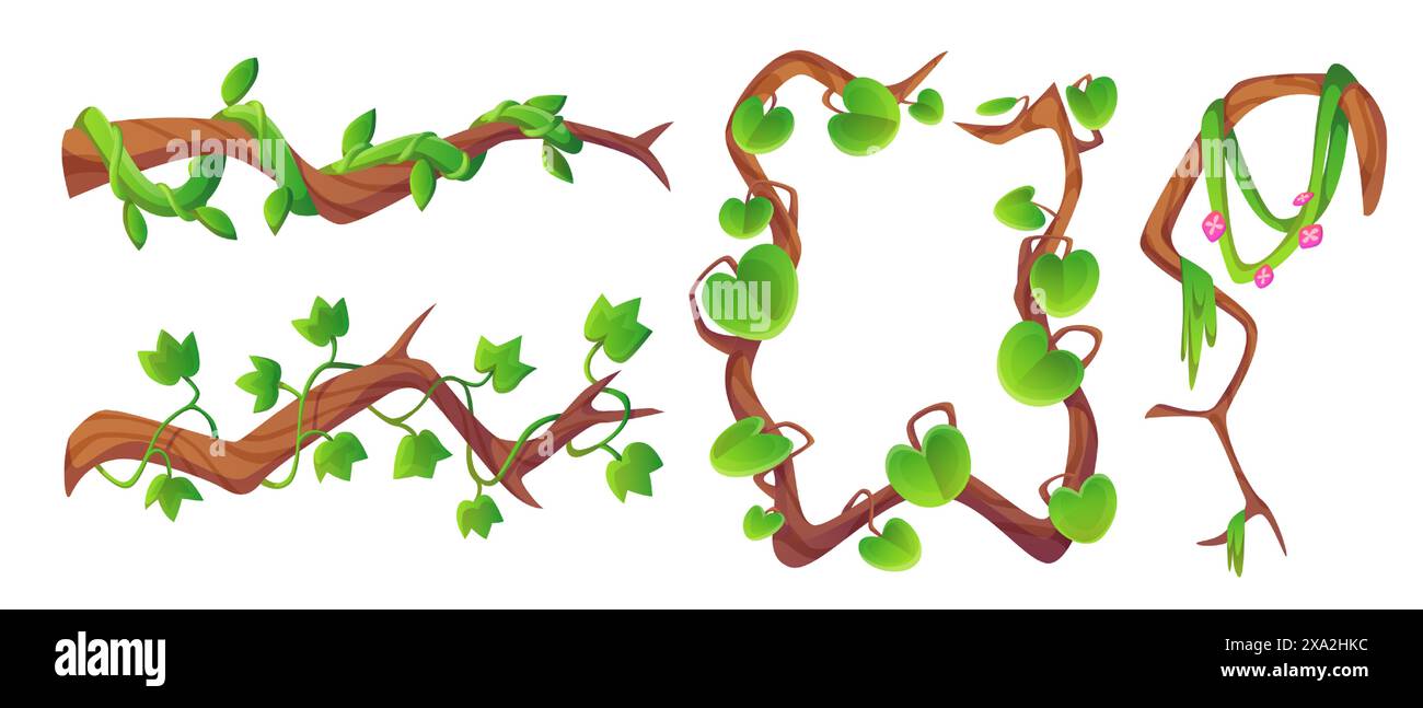 Long liana vine and rectangular frame with green leaves and flowers ...