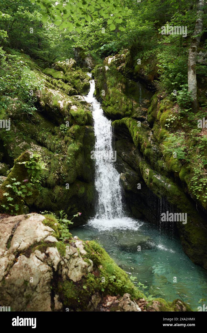 Secluded forest waterfall cascading into a serene pool. Nestled in lush ...