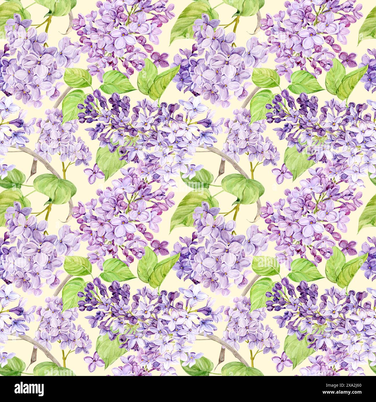Watercolor background with lilac. Seamless pattern of spring flowers ...