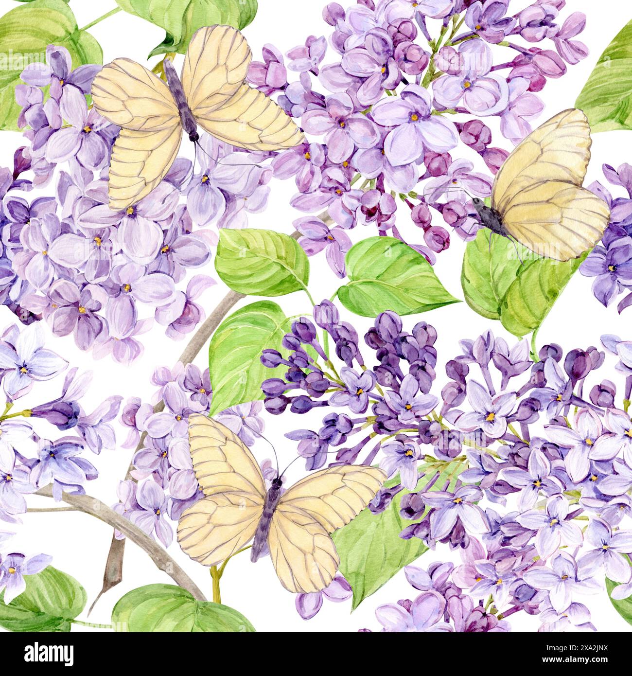 Watercolor background with lilacs and butterflies. Seamless background ...