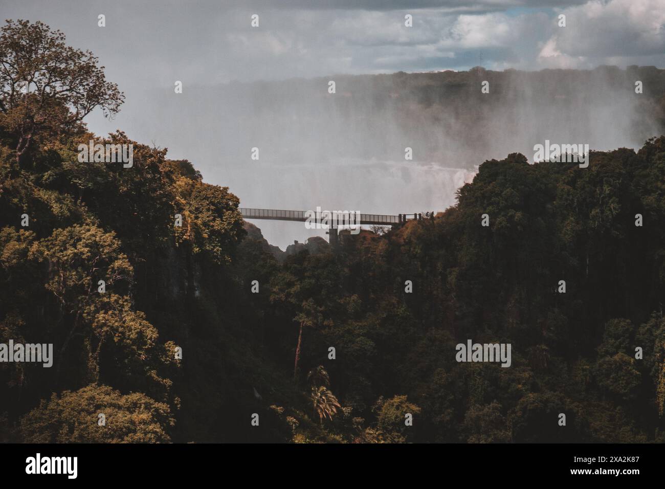 An enchanting image capturing the misty walkway at Victoria Falls with lush greenery surrounding ...
