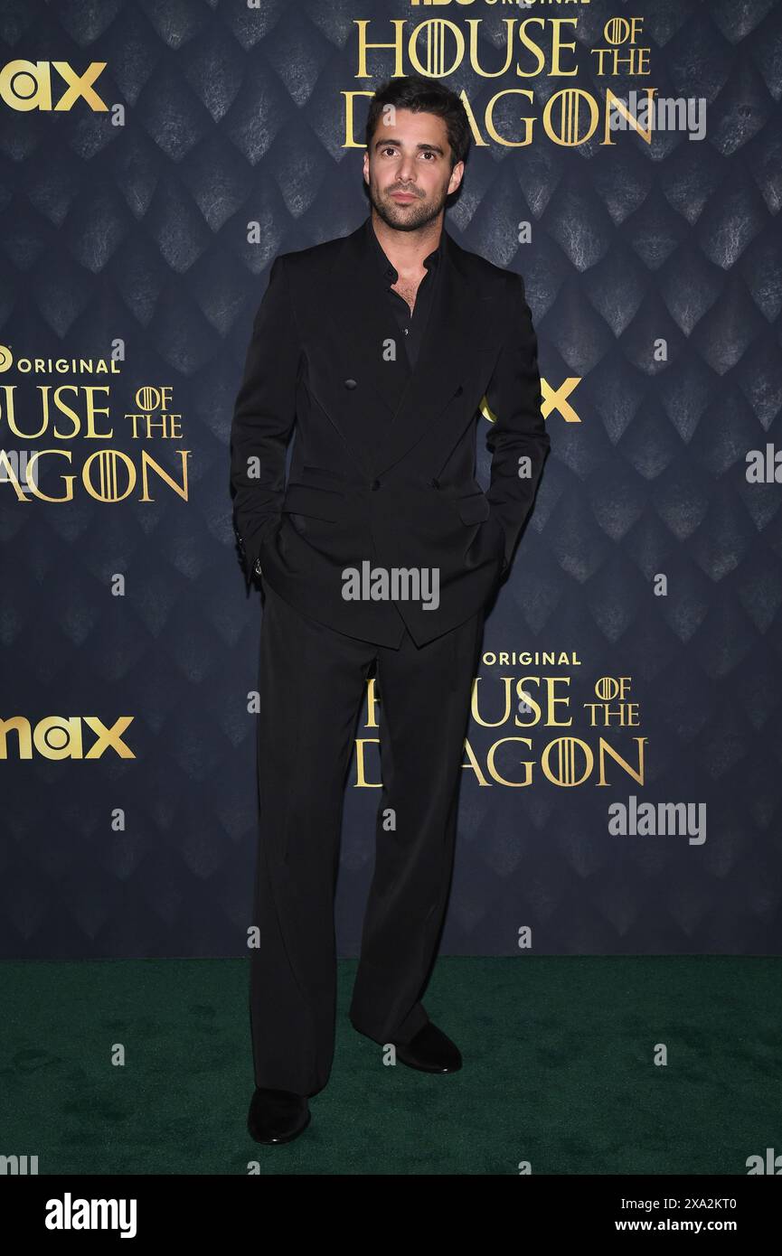 New York, USA. 03rd June, 2024. Fabien Frankel attends HBO's 'House Of ...