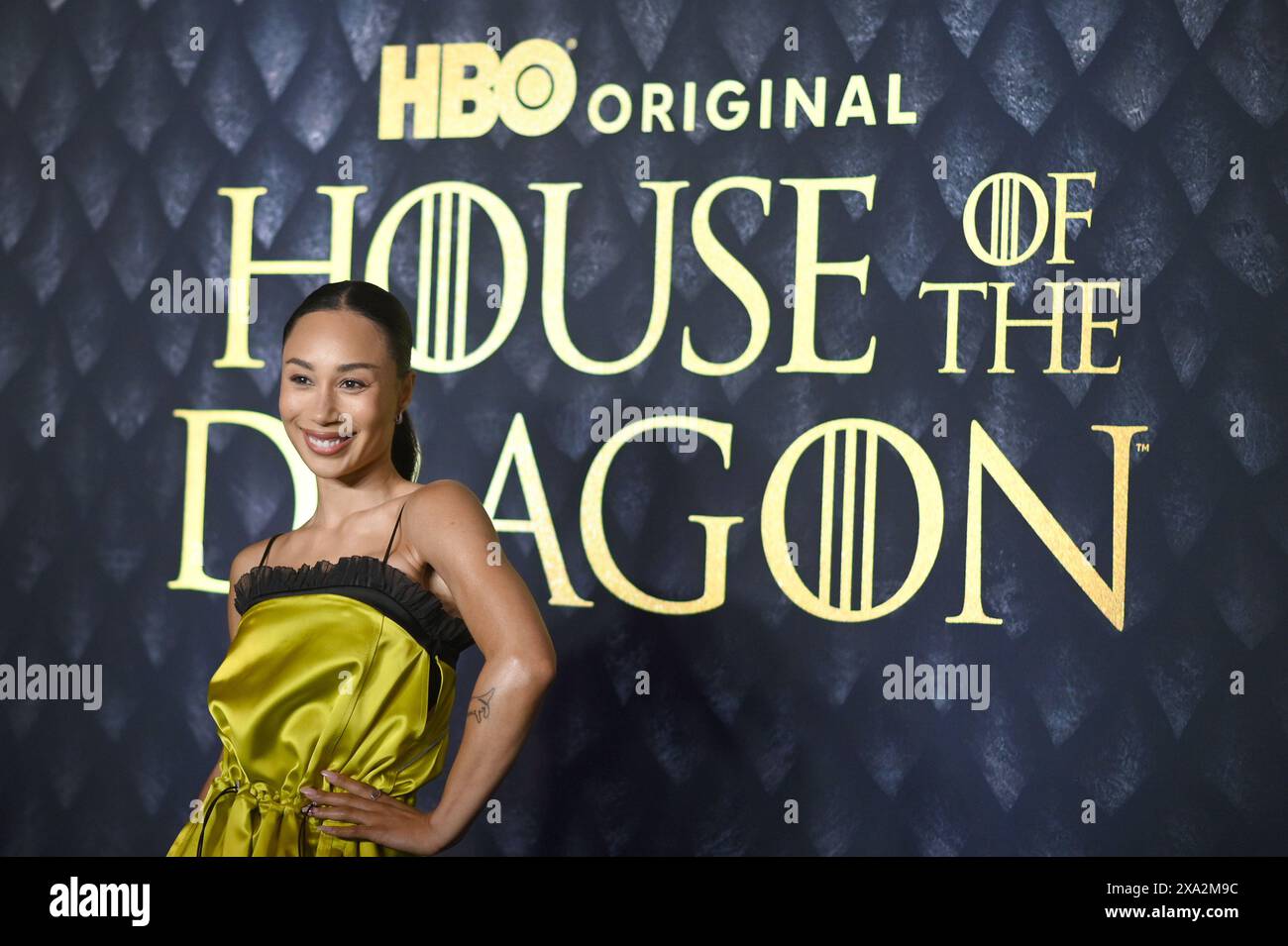 House of dragons hbo hi-res stock photography and images - Alamy