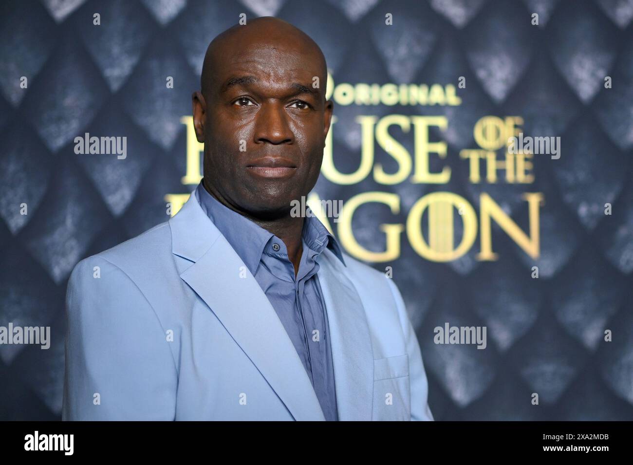 New York, USA. 03rd June, 2024. Steve Toussaint attends HBO's 'House Of ...