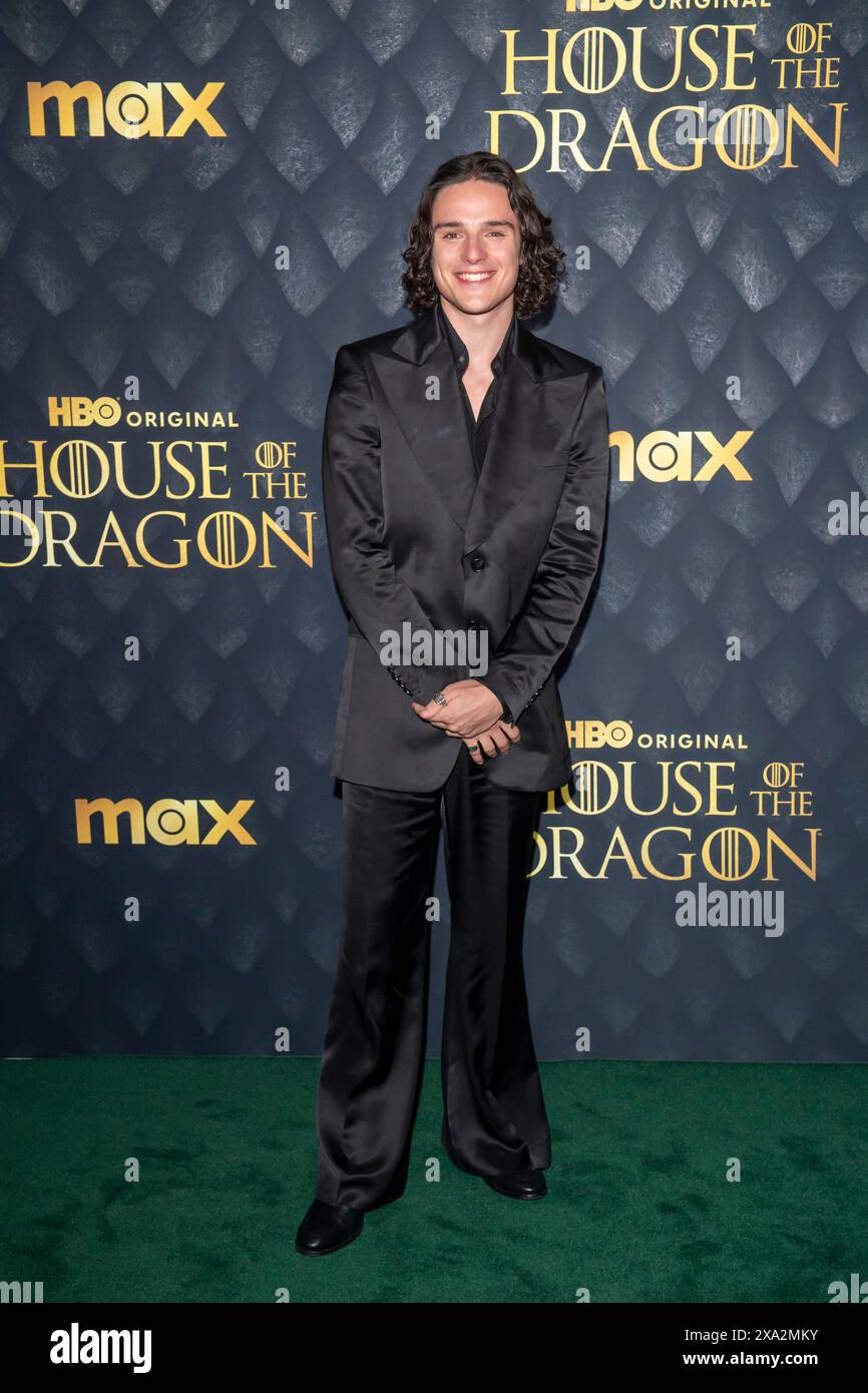 NEW YORK, NEW YORK - JUNE 03: Harry Collett attends HBO's "House Of The ...