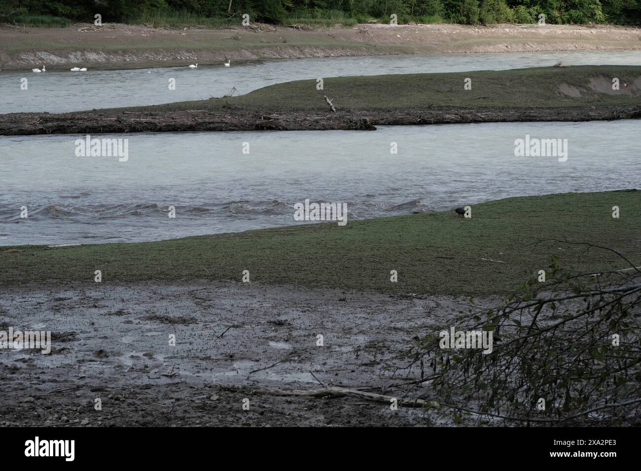 Force of nature, Isar, reservoir, high water, flooding, bank, birds ... Force of nature, Isar, reservoir, high water, flooding, bank, birds ...