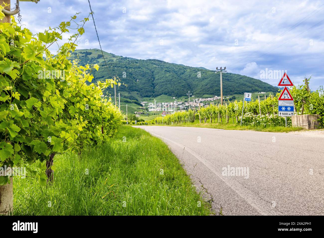 Prosecco route hi-res stock photography and images - Alamy