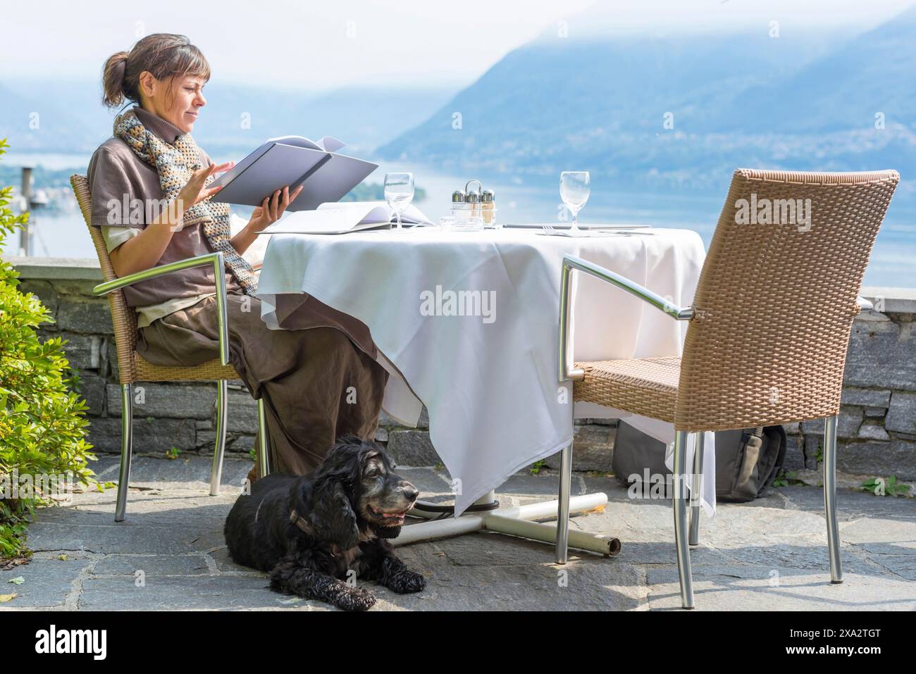 Dog reading menu hi-res stock photography and images - Alamy