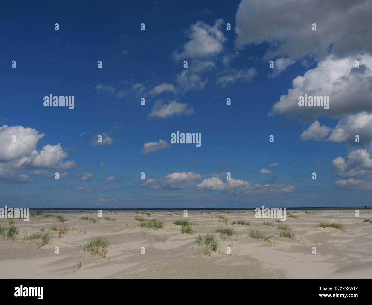 Open beach with scattered dunes under a blue sky with clouds and sea ...
