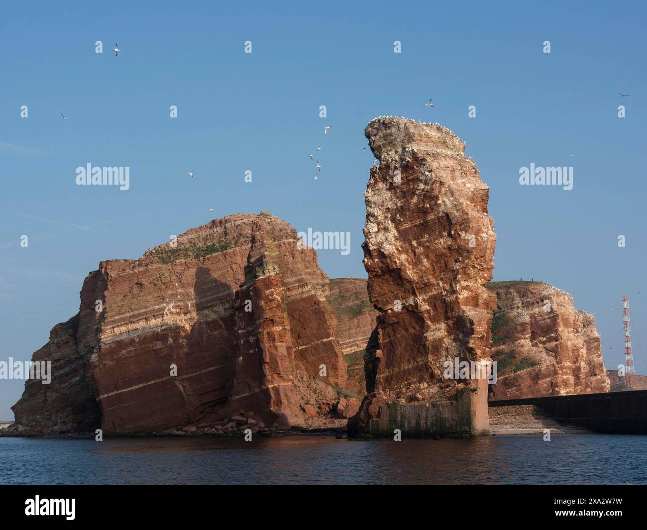 Large rock formation in the sea with flying birds under a clear sky ...
